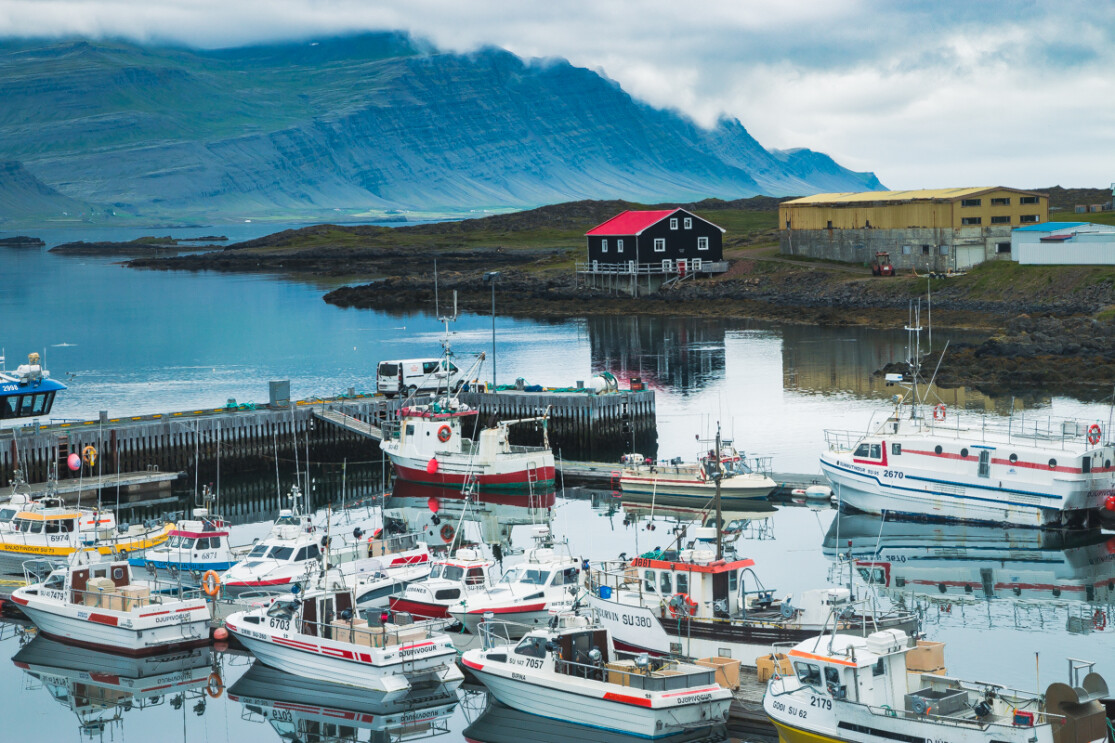 Le guide des fjords de l'est en Islande - Voyage-Islande.fr